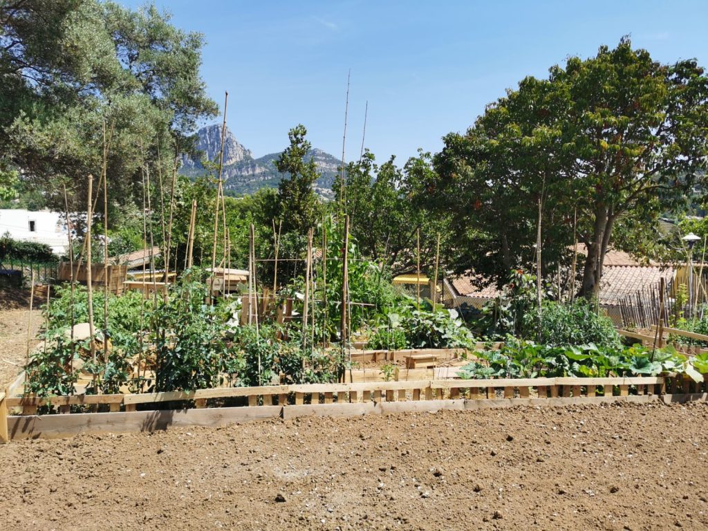 Inauguration des Jardins partagés au SUVE – Mairie de Vence